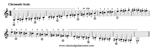Classical Guitar Scales - The Complete Guide